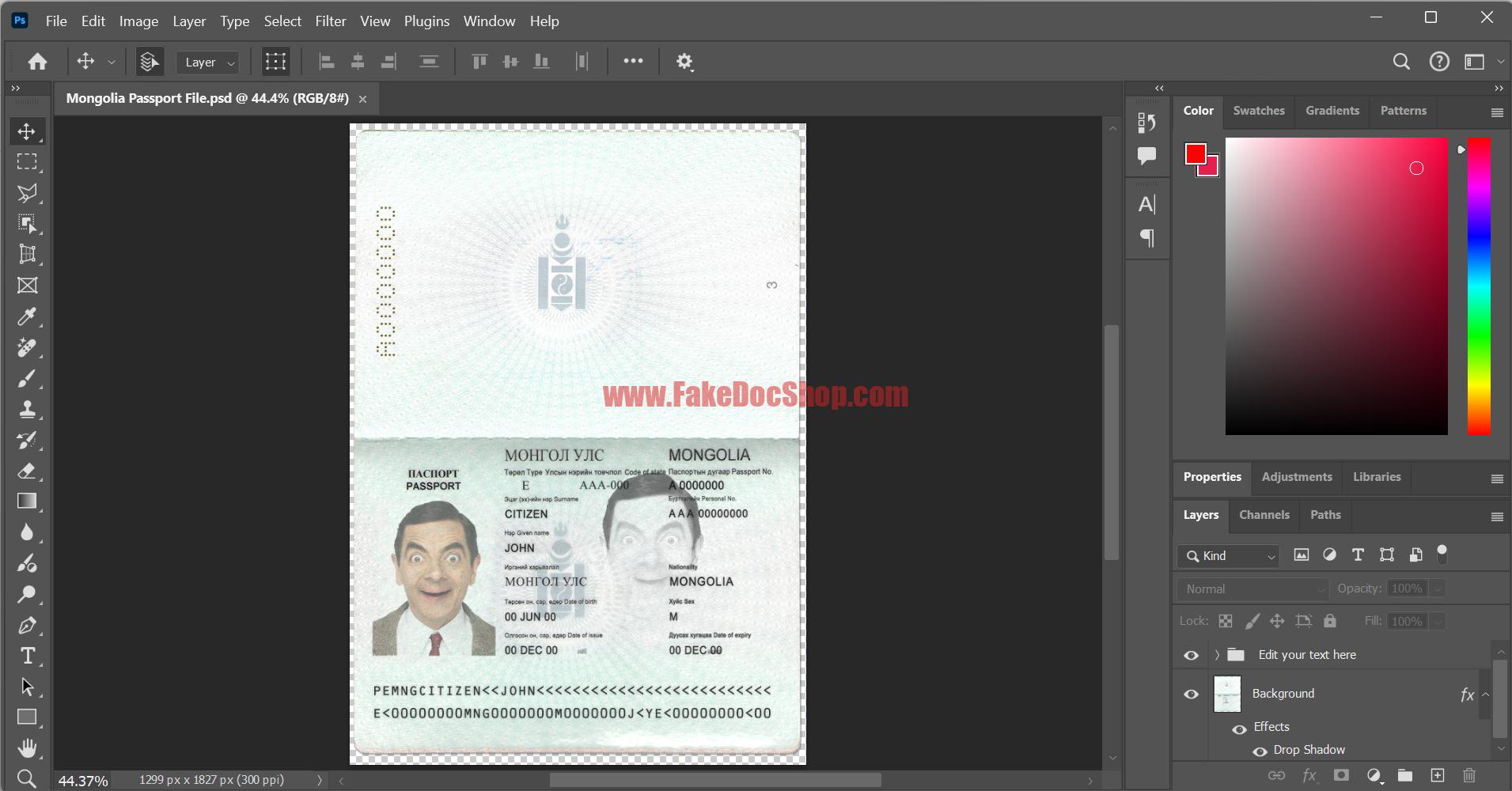 Mongolia Passport PSD Template - Fakedocshop