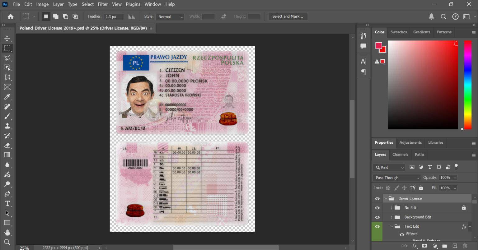 Poland Driver License PSD Template - Fakedocshop