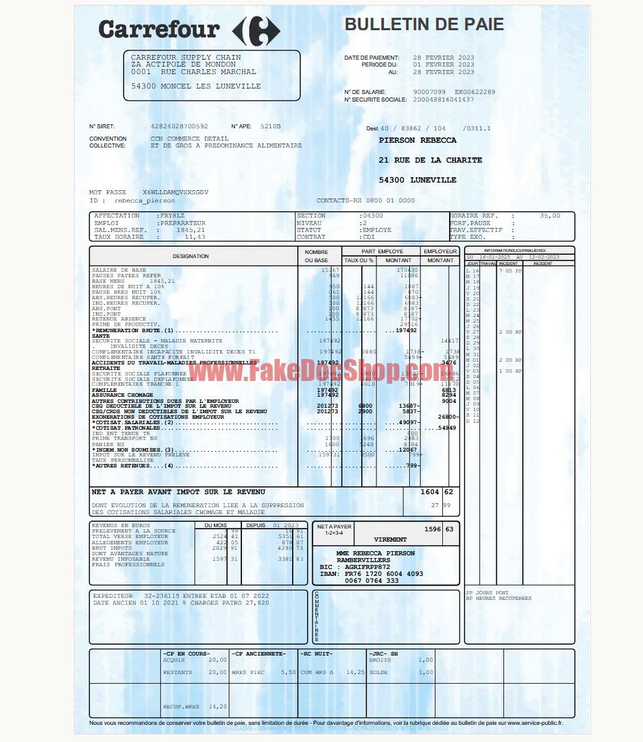 France Payroll Statement Template In Word And PDF Format - Fakedocshop