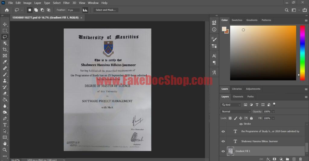 University Of Mauritius Certificate PSD Template - Fakedocshop