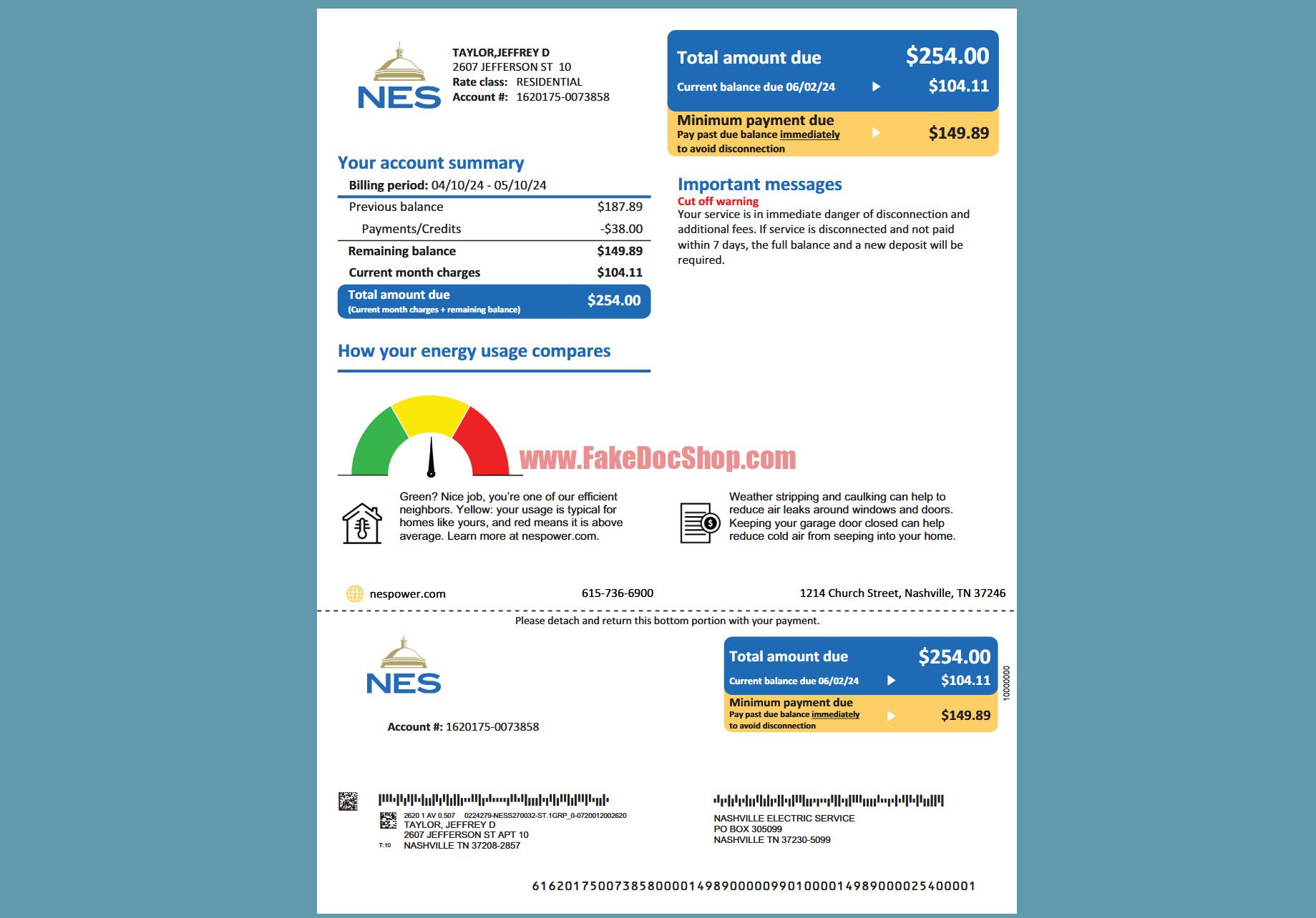 Tennessee NES Electricity Statement Template In Word And Pdf Format ...