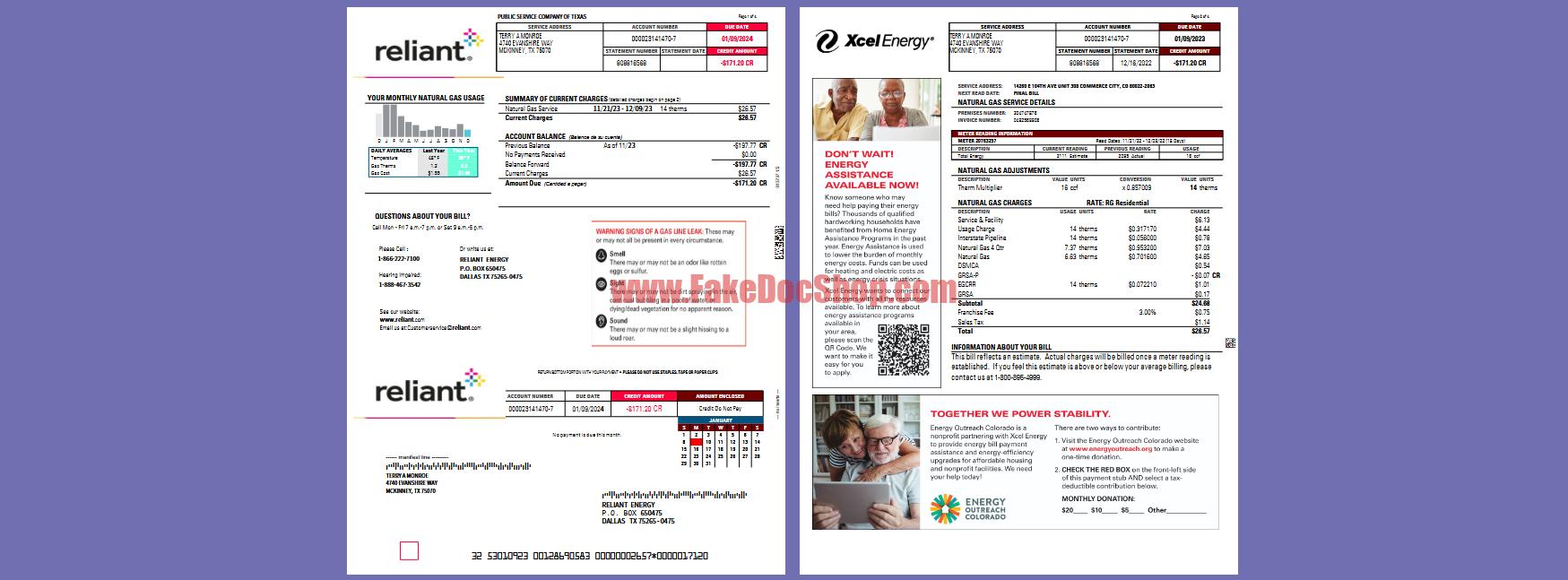 Italy Reliant Natural Gas Bill Template In Word And Pdf Format ...